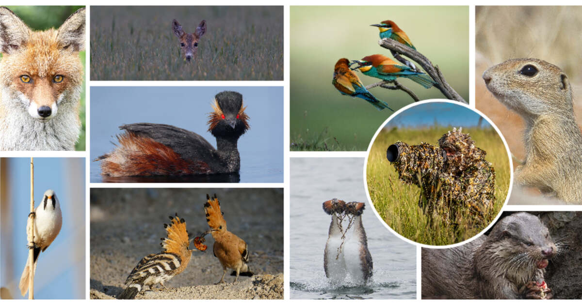 Interviu cu Lazăr Constantin, artist fotograf / Dragoste şi respect ...