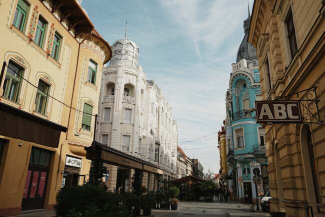 Piața muncii din Bihor: sute de angajatori caută personal calificat și ...