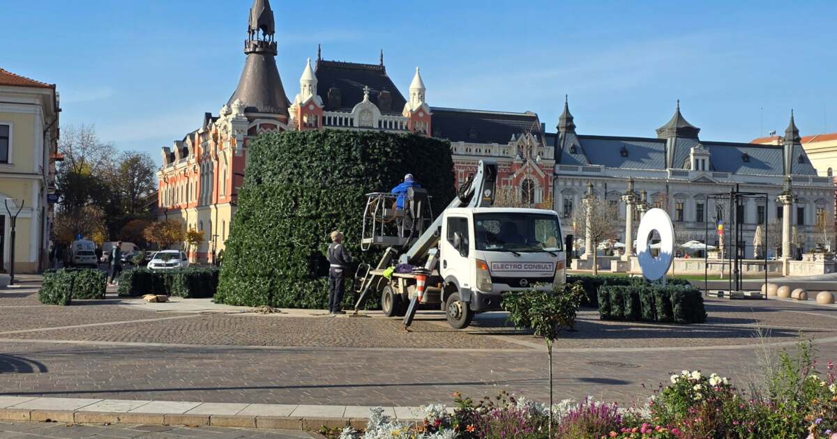 Bradul din cadrul Târgului de Crăciun Oradea a ajuns în Piața Unirii ...