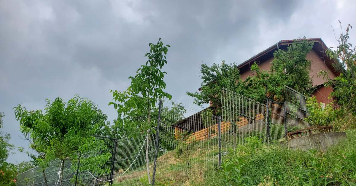 FOTO: Alunecări de teren la Podgoria: casa, câinii și viața afectată ...